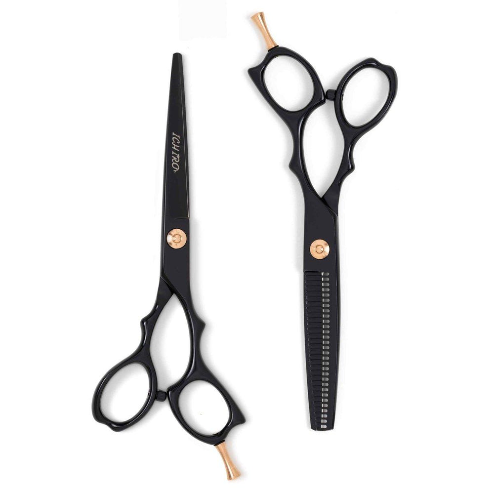 Ichiro Ash Gold Hairdressing Scissor Set: Professional Styling Kit ...